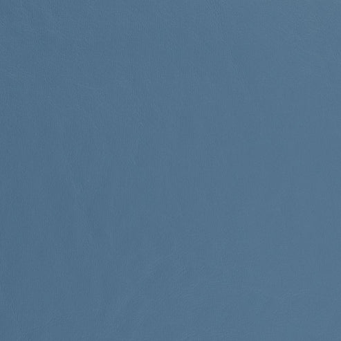 Delphine Blue