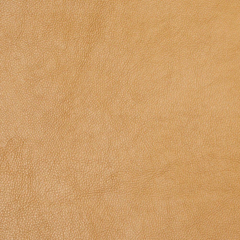 Jeffrey Gold