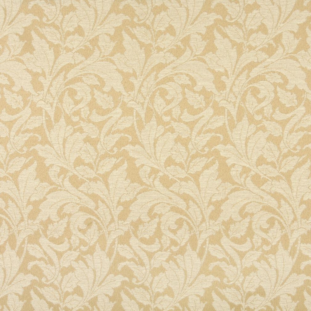 Lily Sand